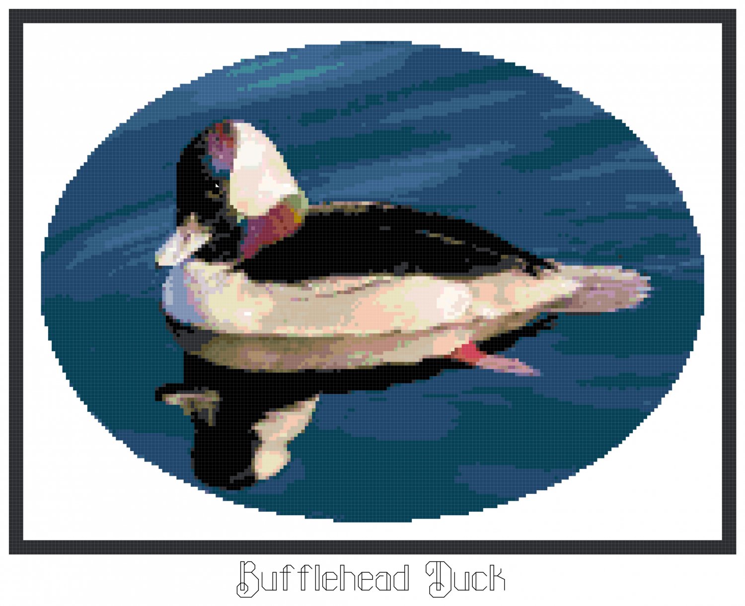Bufflehead Duck Pattern Chart Graph