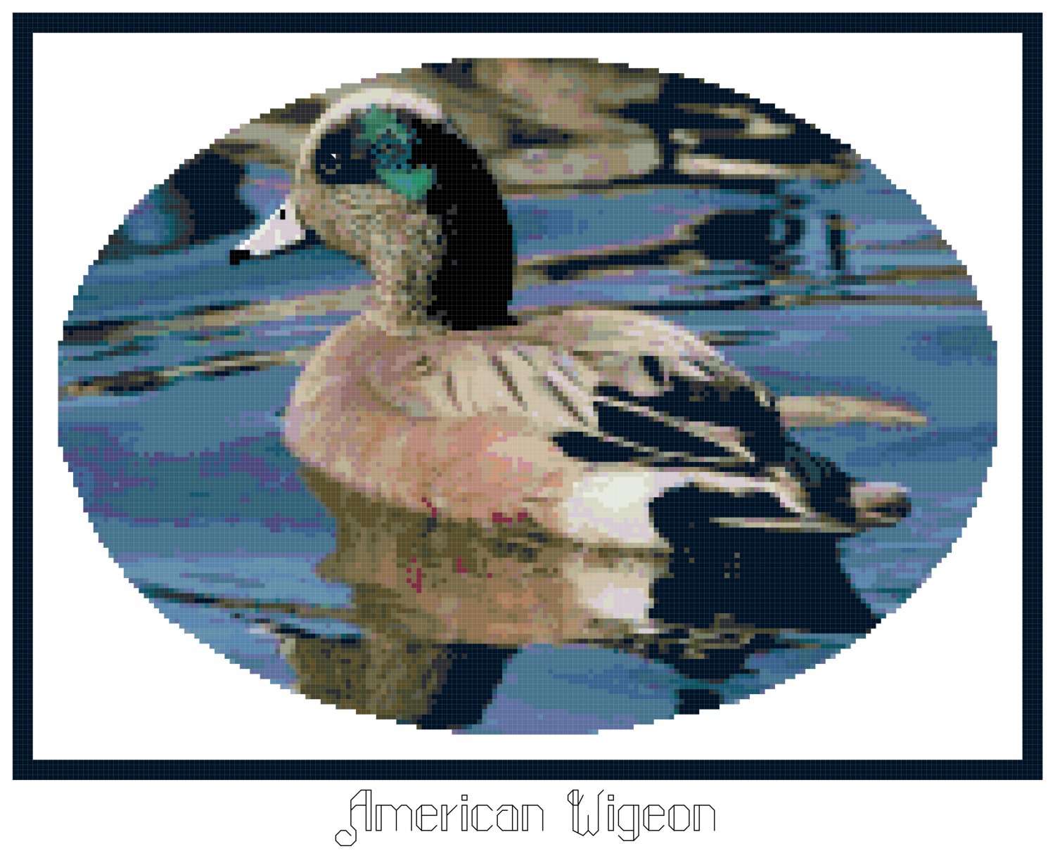 American Wigeon Duck Pattern Chart Graph