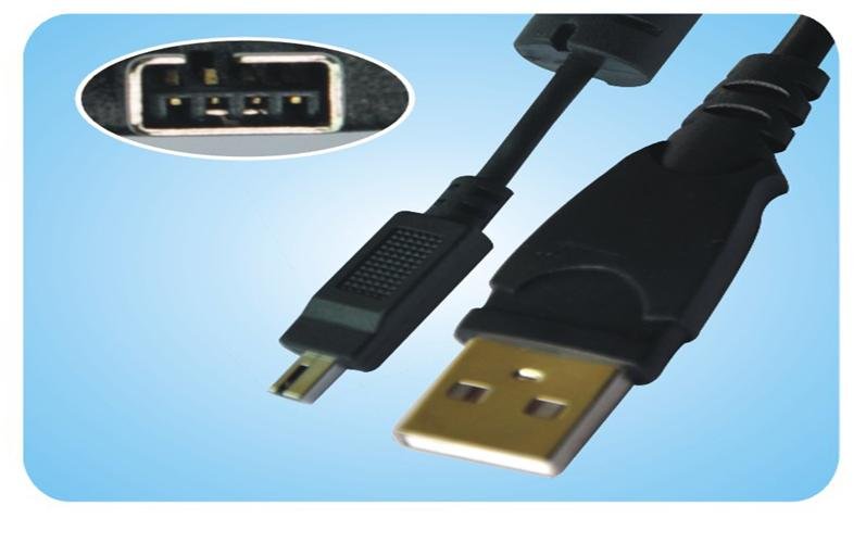 Fuji FinePix S1PRO S2PRO S3000 S303 S304 S3100 S602 4P USB Cable