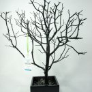 30" Red Jewelry Tree