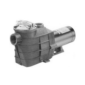 Hayward Super II 2.5HP 2-Speed Pool Pump