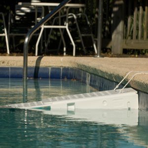 Skamper Ramp Pet Safety Pool Exit