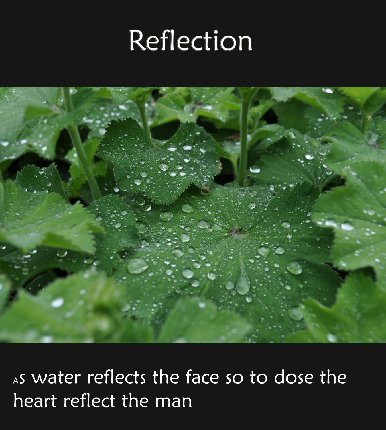 reflection poster