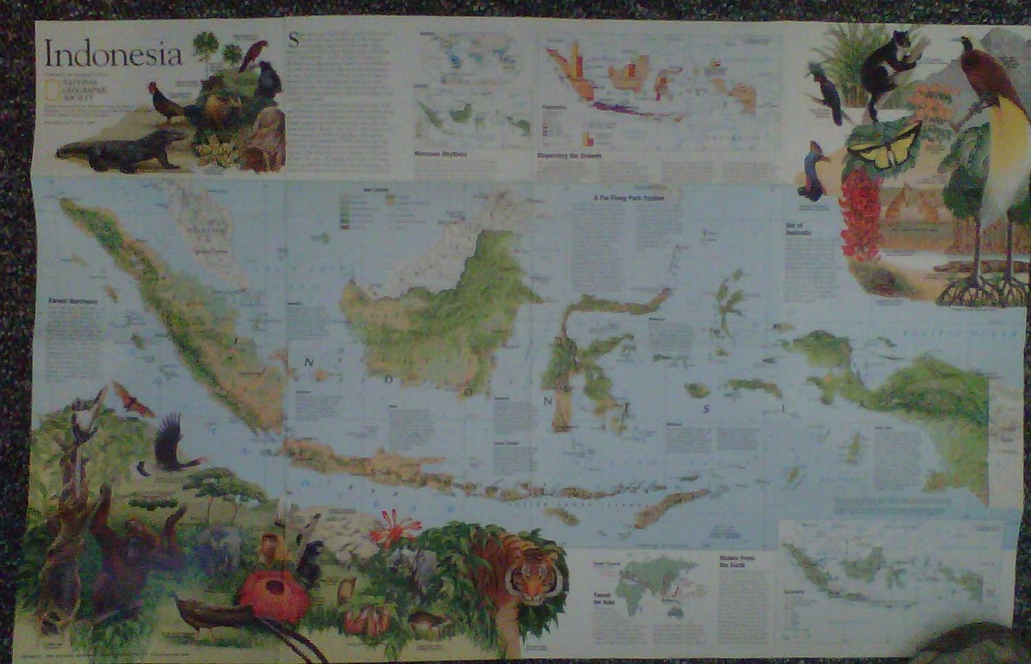 National Geographic Wall Map of Indonesia, 1996