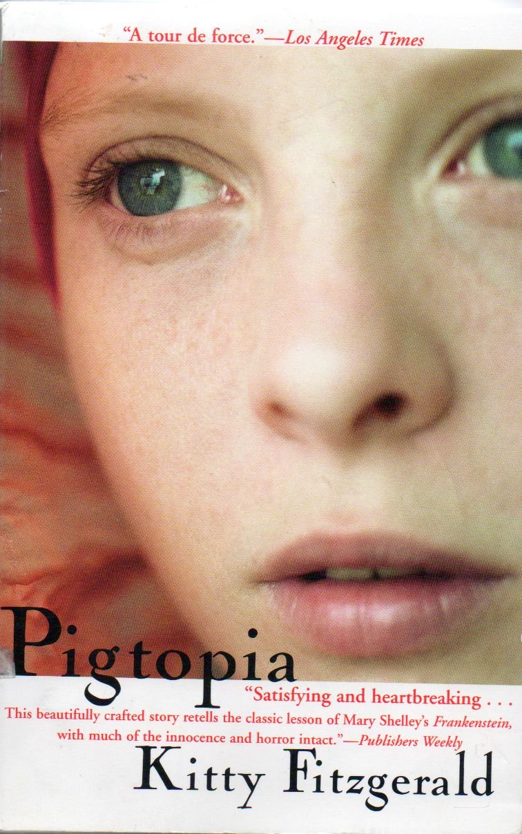 Pigtopia by Kitty Fitzgerald Irish Novel