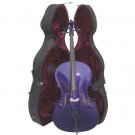 Rugeri MC150PK 4/4 Size Pink Cello with Case