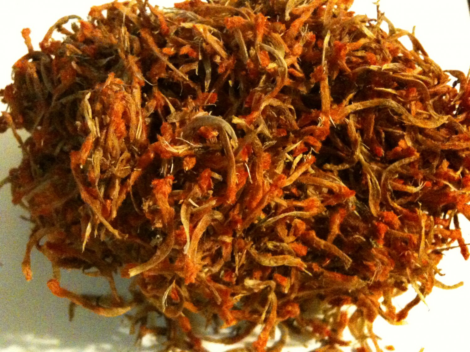 4g Leonotis Nepetifolia KLIP DAGGA FLOWERS PURE PETALS