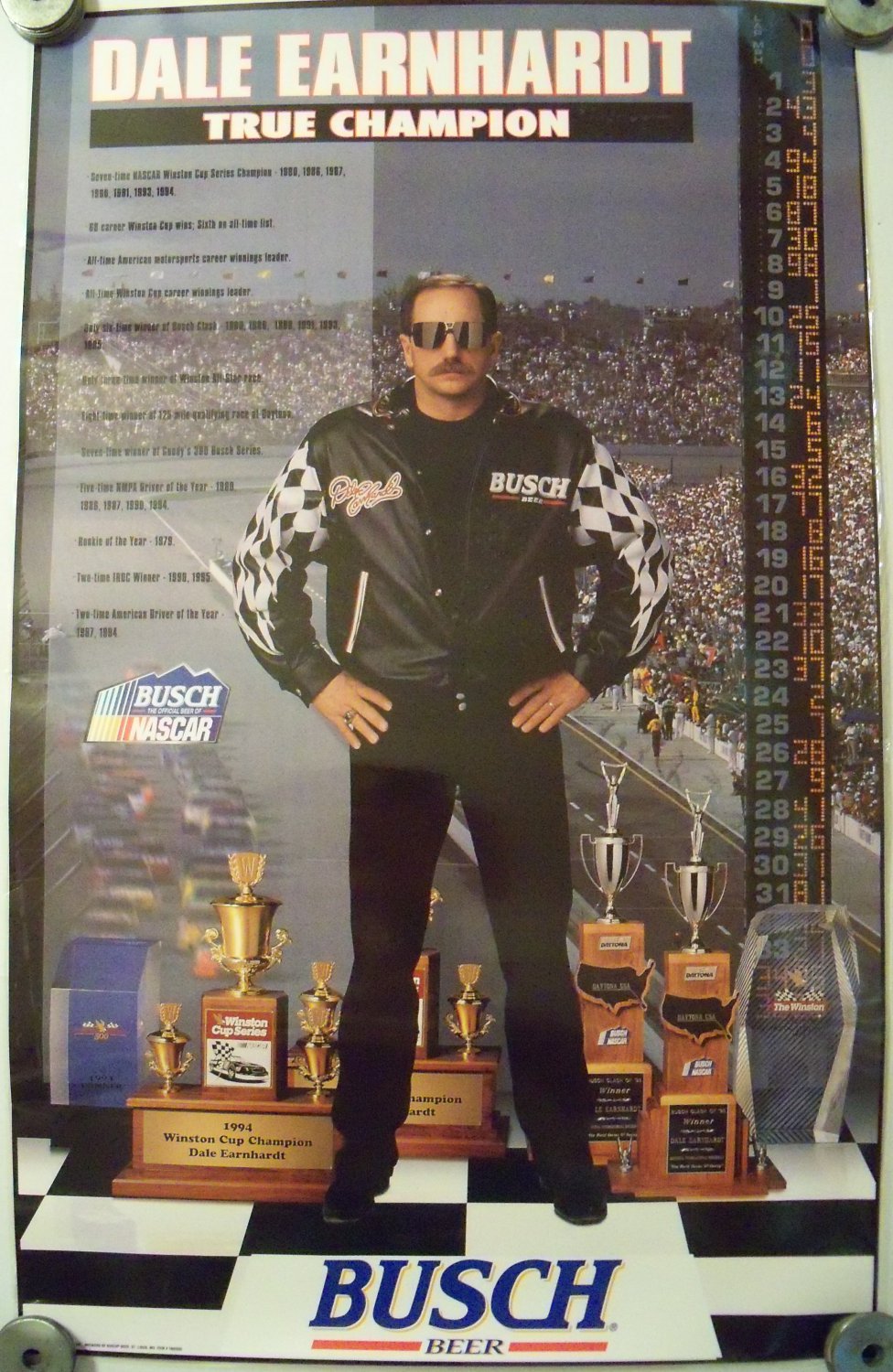 Dale Earnhardt Busch Cup Racing Poster