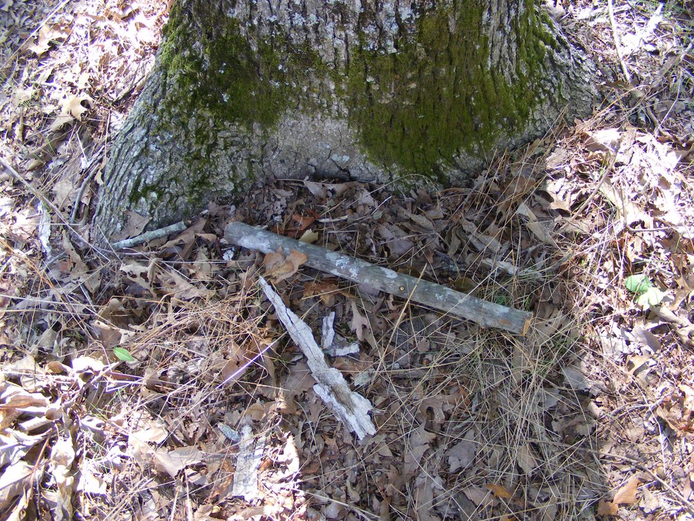 Cut Wood Micro Geocaching Container Geocache