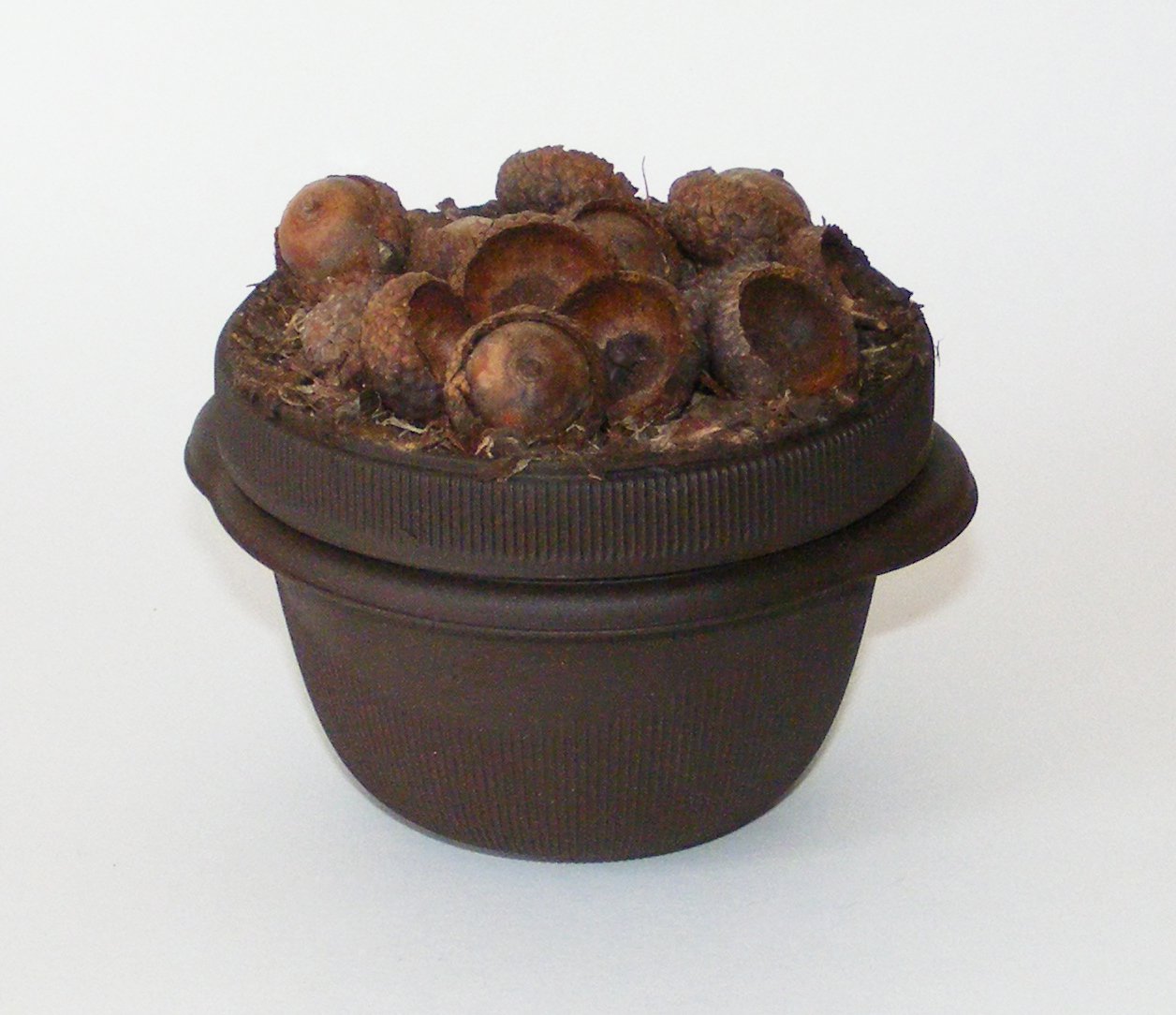 Low Profile Acorn Small Geocaching Container