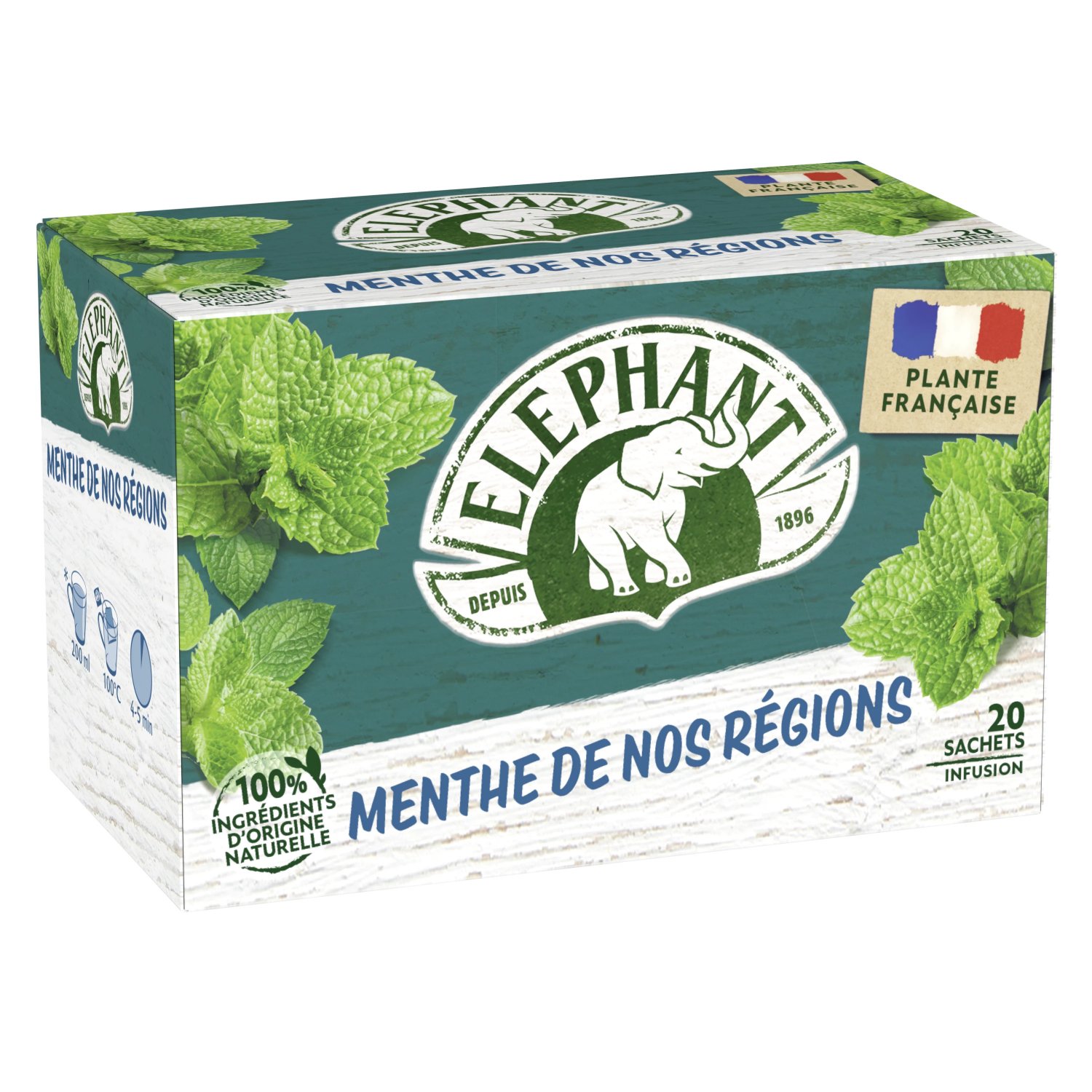 Elephant Mint form our Regions Menthe de nos regions Herbal Tea - 20 ...