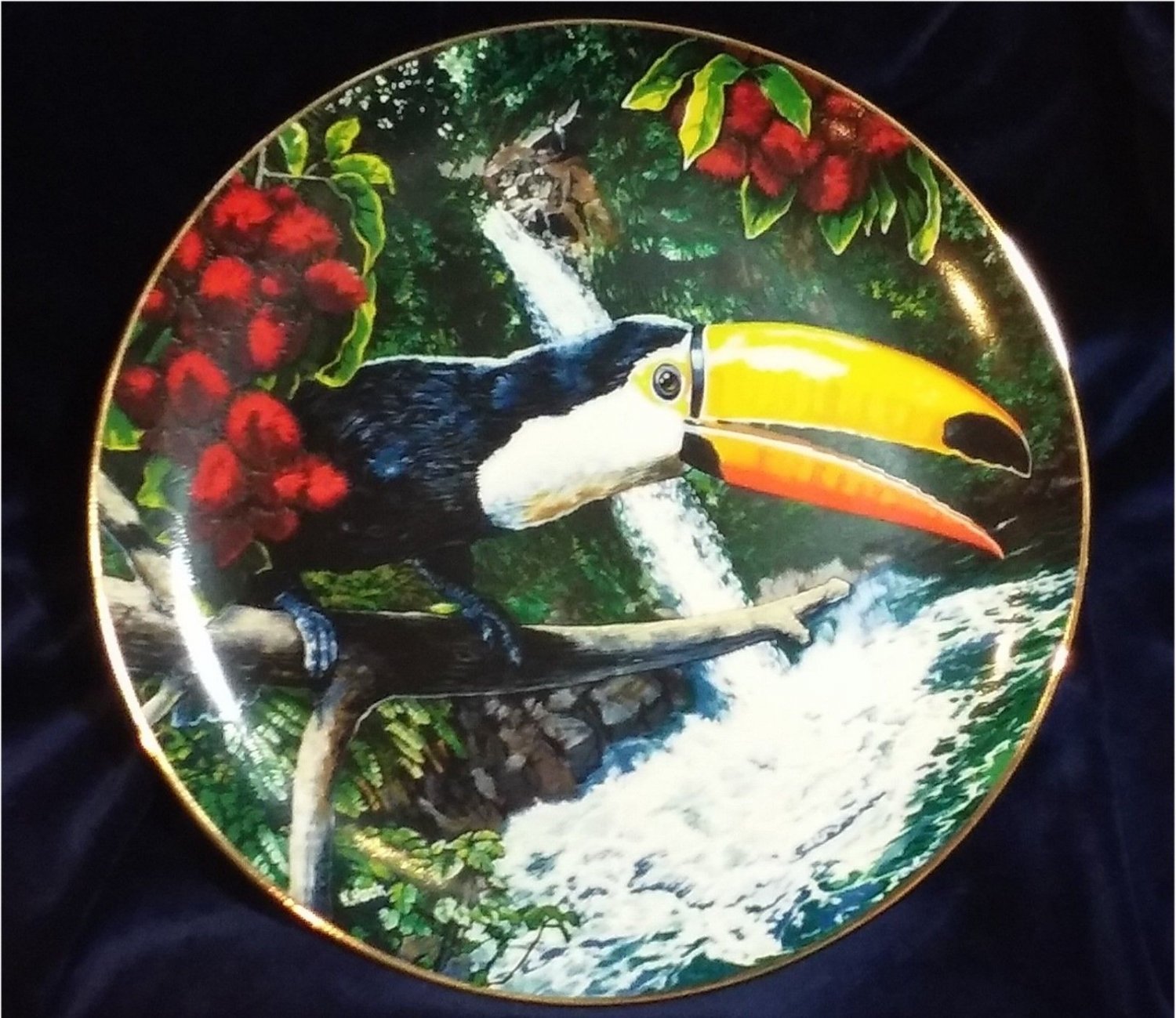 Toco Toucan Porcelain Plate Collectible Royal Cornwall Exotic Bird Tropique