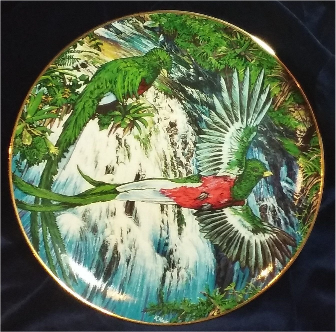 Quetzal Porcelain Plate Collectible Royal Cornwall Exotic Birds Tropique