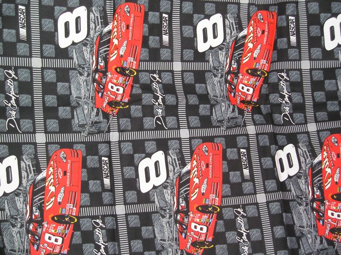 Dale Earnhardt JR #8 Nascar Fabric 2002 Fat Quarter