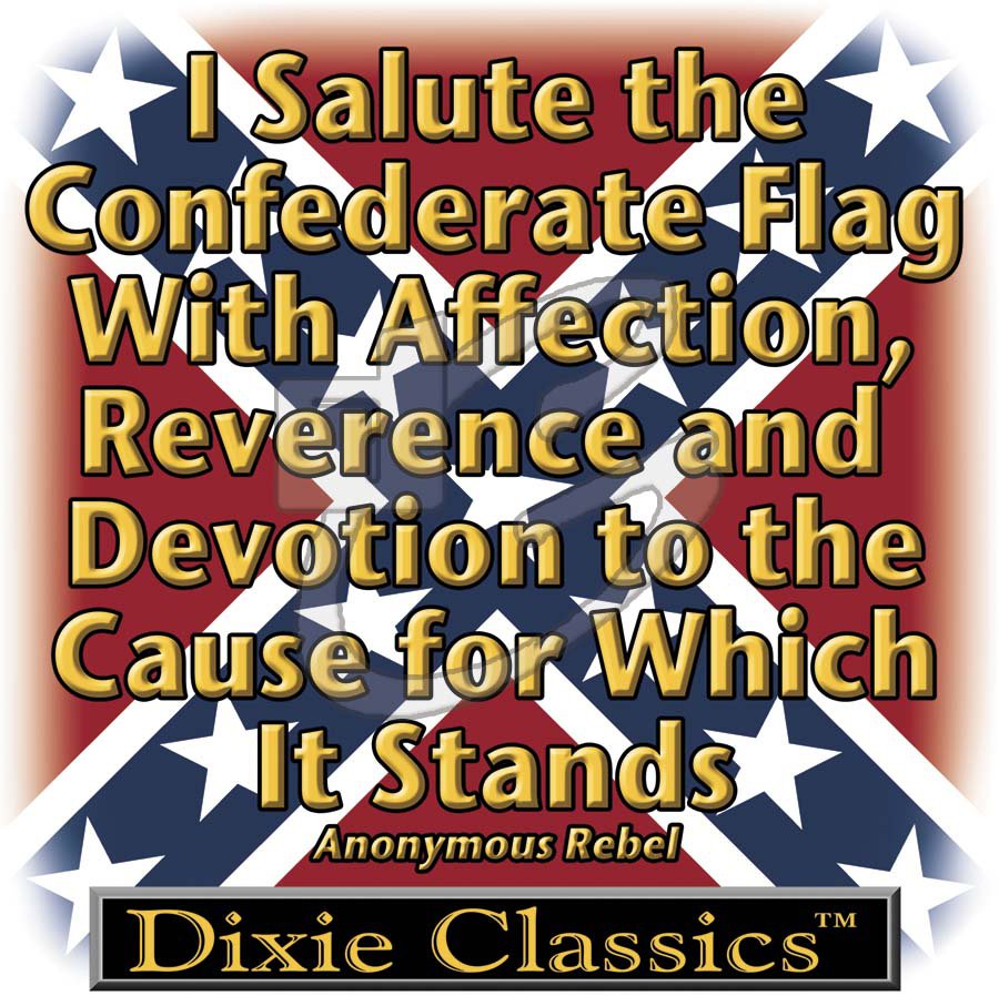 I SALUTE THE CONFEDERATE FLAG T-SHIRT LARGE