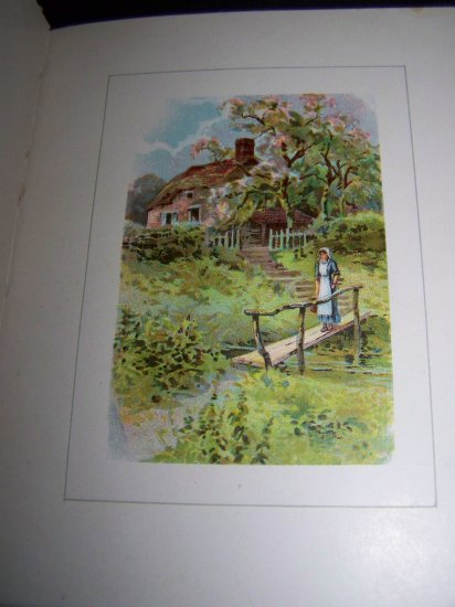 Antique DAISIES FROM ROBERT BURNS~Chromo-Litho Lithograph Book