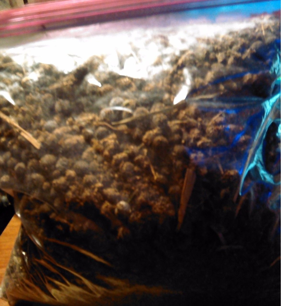 10 lbs rabbit manure