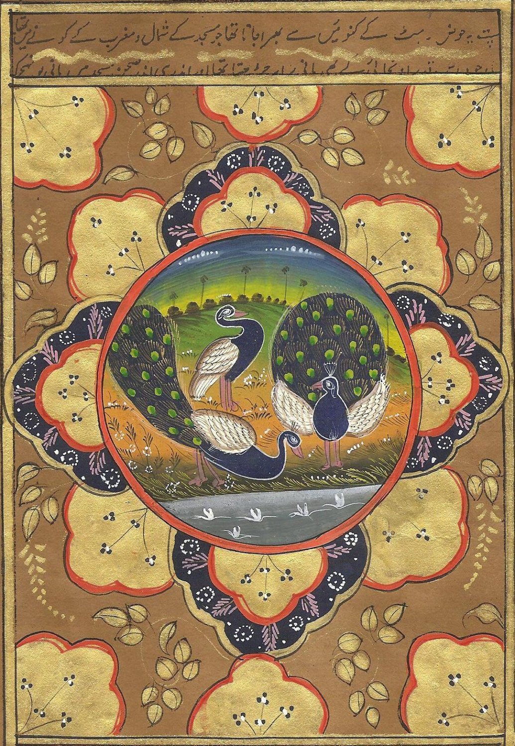 Indo Persian Peacock Bird Miniature Painting Illuminated Manuscript ...
