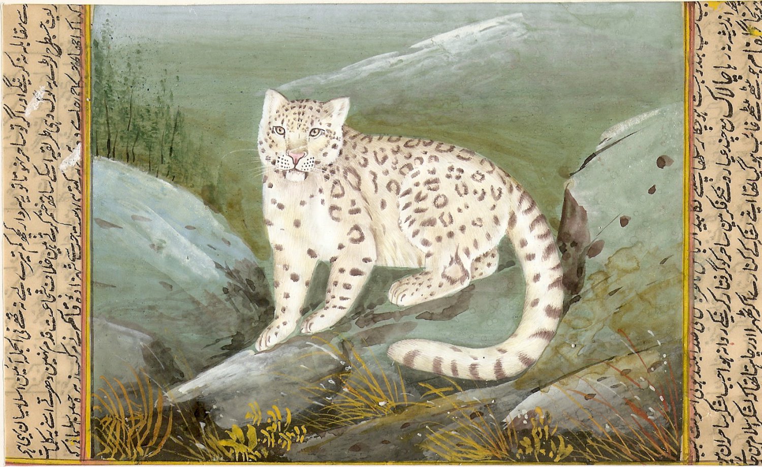 Indian Miniature Snow Leopard Wild Life Painting Handmade Animal ...