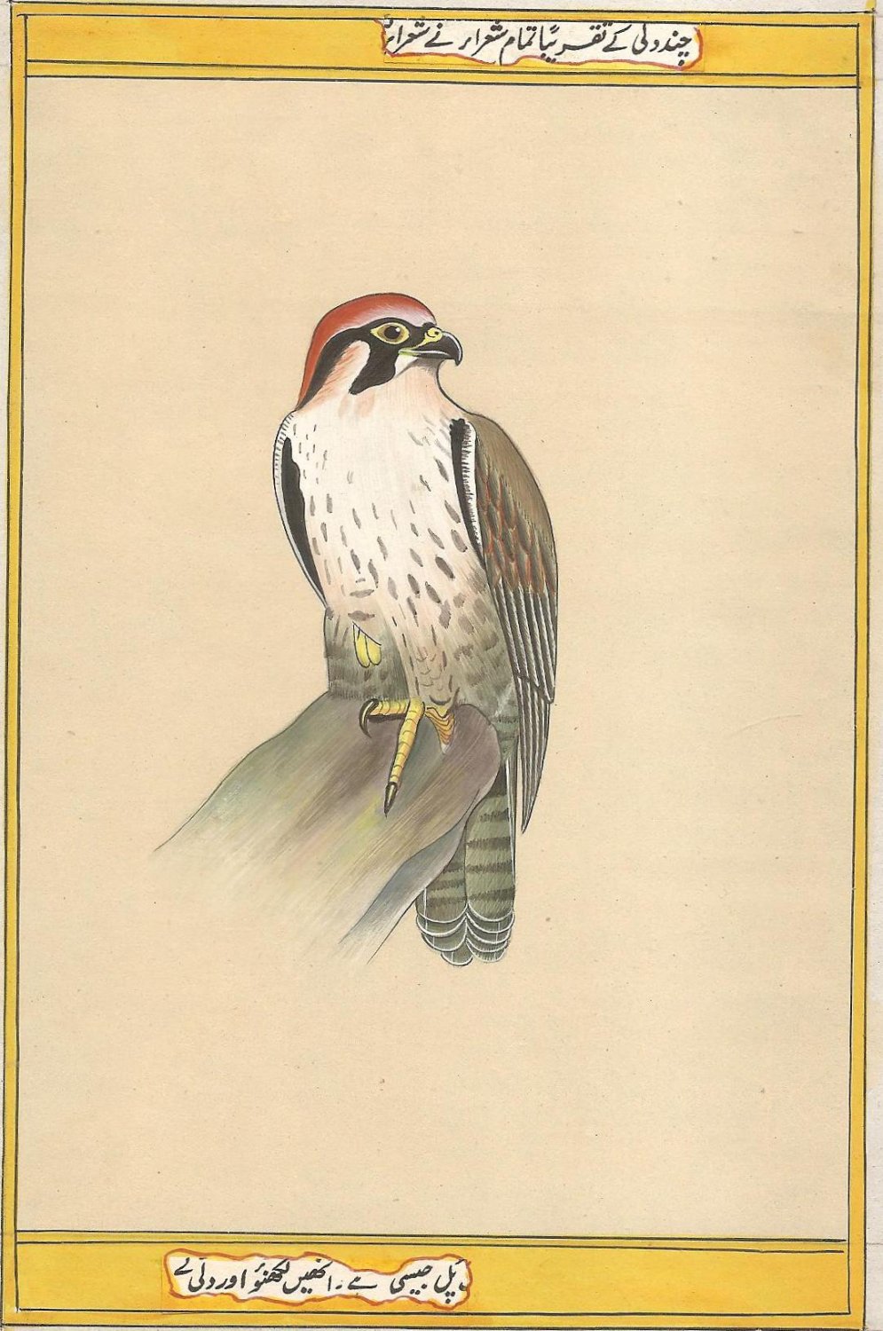 Falcon Miniature Painting Indian Handmade Falconry Bird Watercolor ...