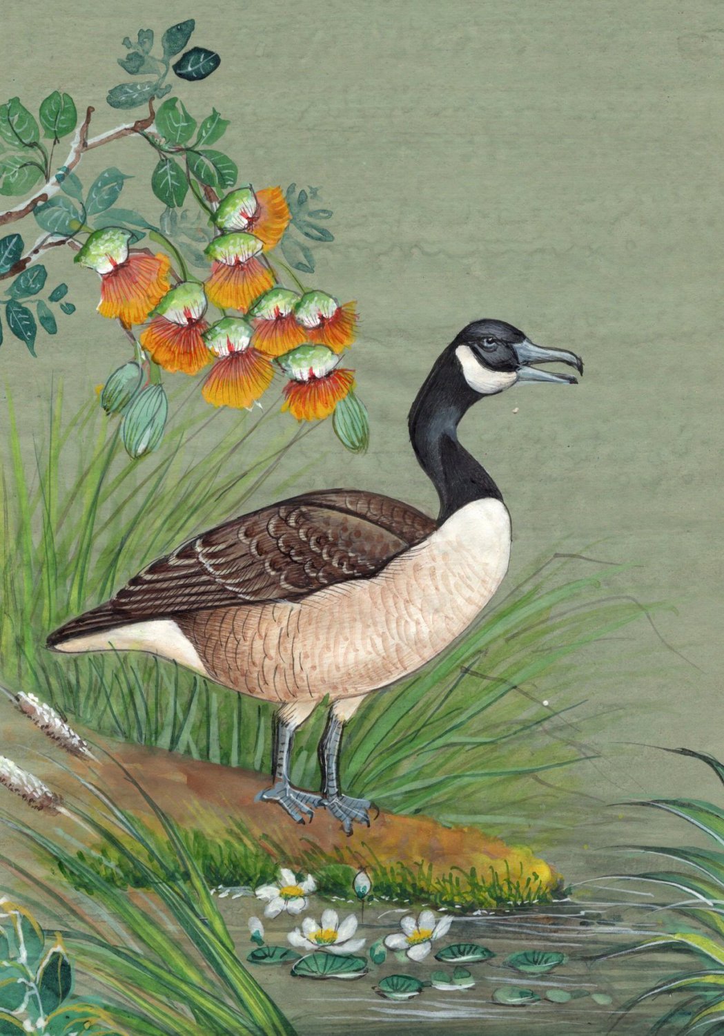 Canada Goose Painting Handmade Indian Miniature North American Wild ...