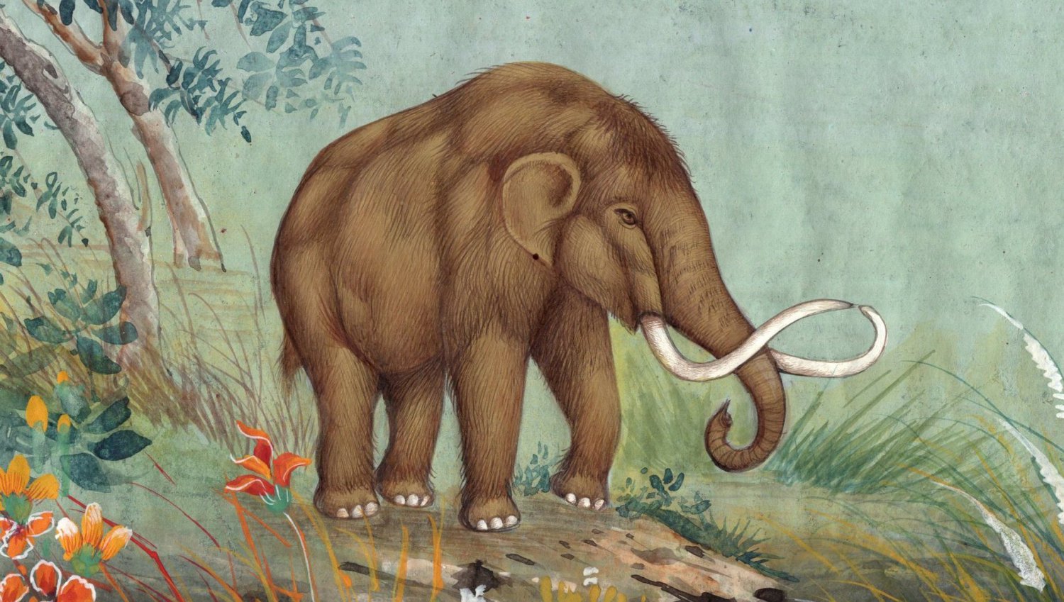 Mastodon Art Handmade Extinct Wild Animal Pre Historic Indian Miniature ...