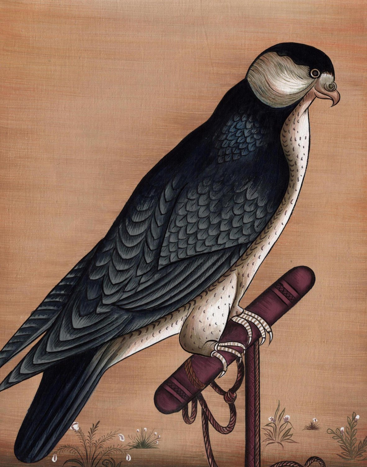 Indian Falcon Miniature Art Handmade Bird of Prey Miniature Cotton Painting