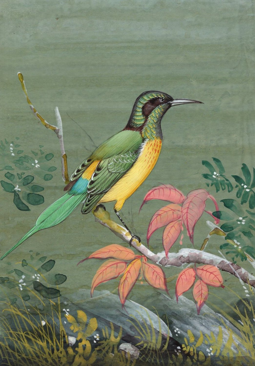 India Miniature Painting Handmade Green Tailed Sunbird Watercolor Wild ...