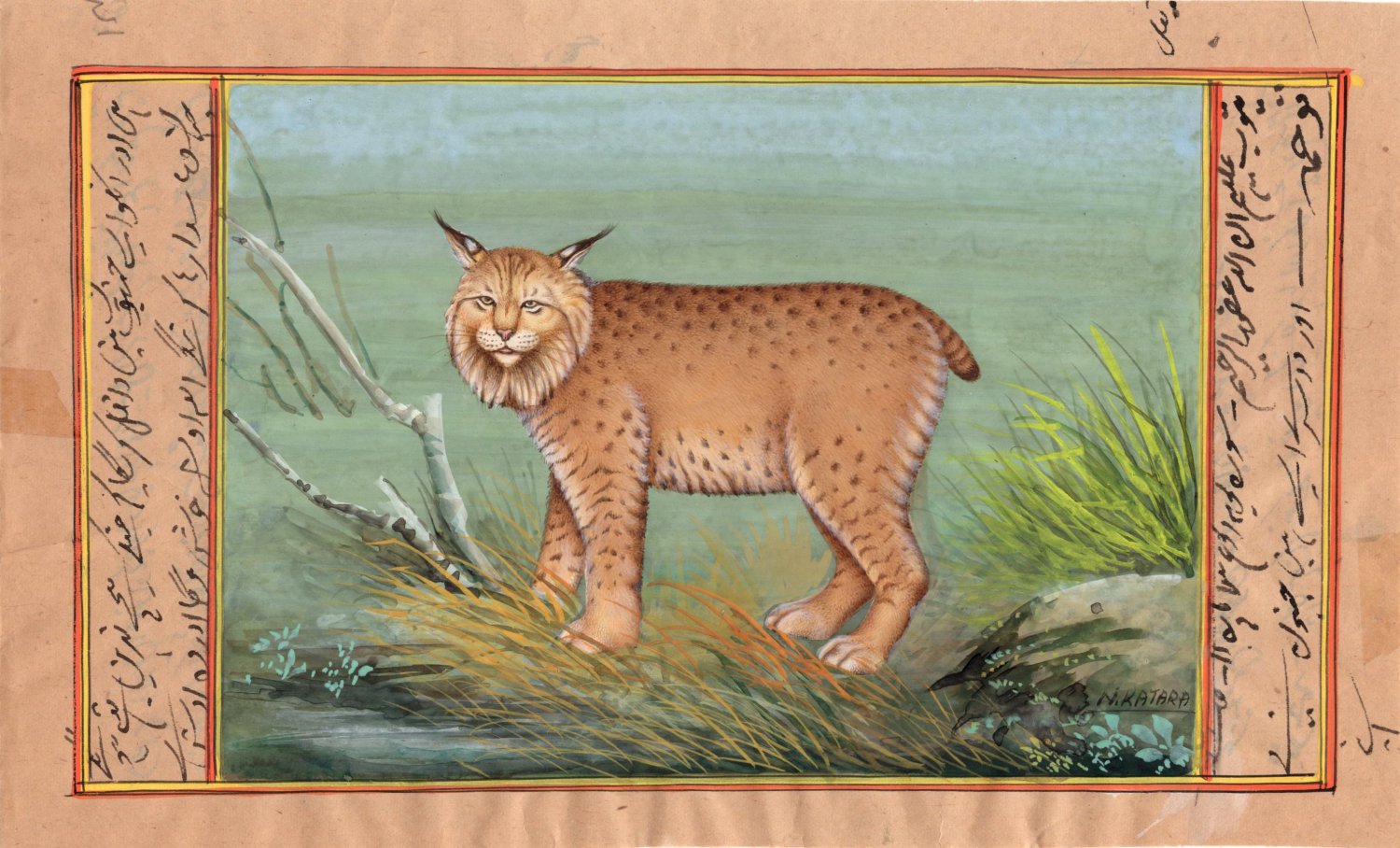 Indian Miniature Bobcat Wild Life Art Handmade Animal Watercolor Nature ...