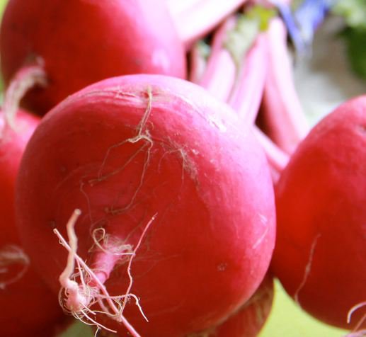 Turnip, Japanese Red Round Turnip