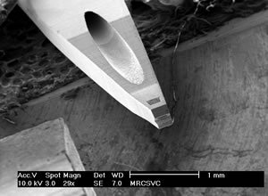 Deweyl Wedge bonding tool 18u deep access