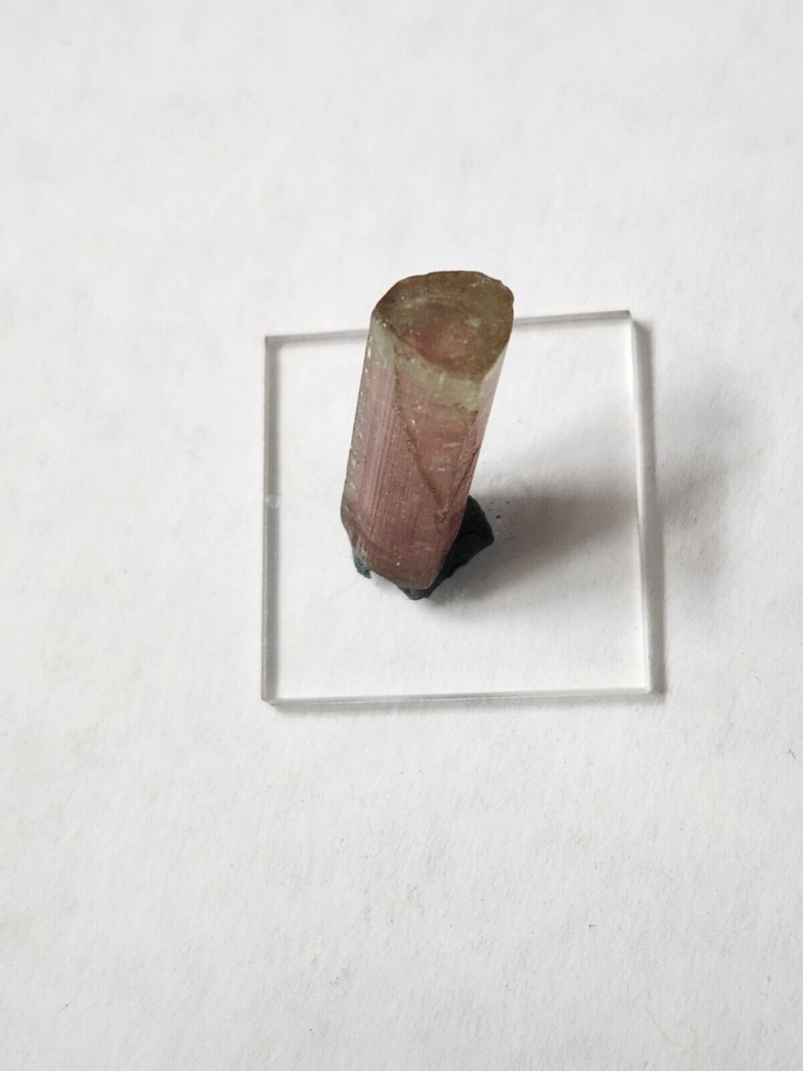 Watermelon Tourmaline Crystal