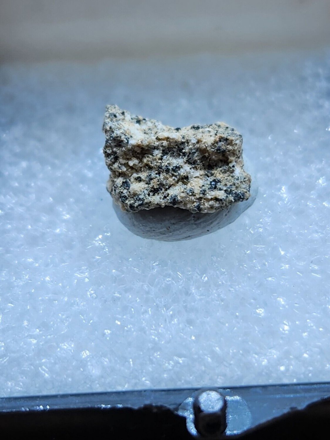 Beautiful Quadridavyne thumbnail specimen