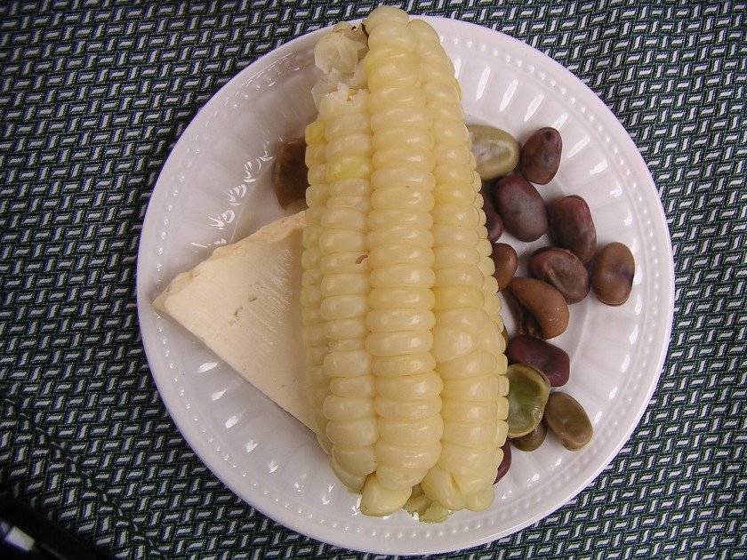 40 Peruvian Heirloom Giant White Cuzco Corn Seeds