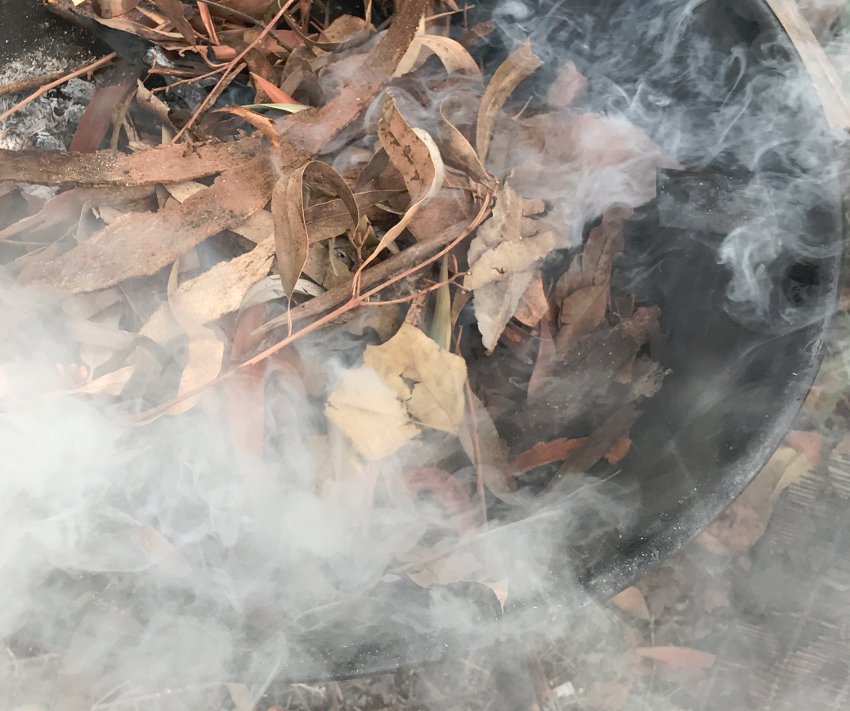 3 Smoke Infused Paper Discs Seed Smoke Primer Germination Aid