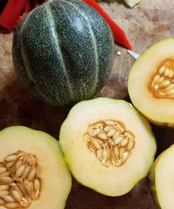 25 Heirloom Melon Emerald Gem Seeds