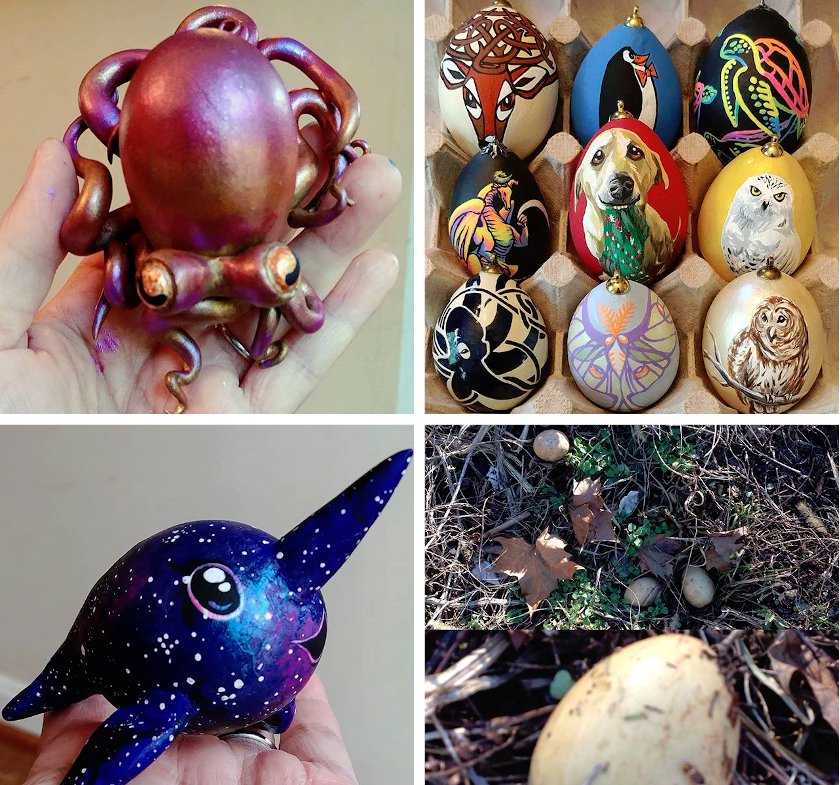 10 Ornamental Nest Egg Gourd Cucurbita Seeds