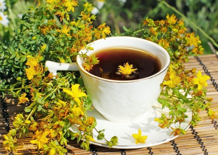 150 St Johns Wort Herb Hypericum Seeds