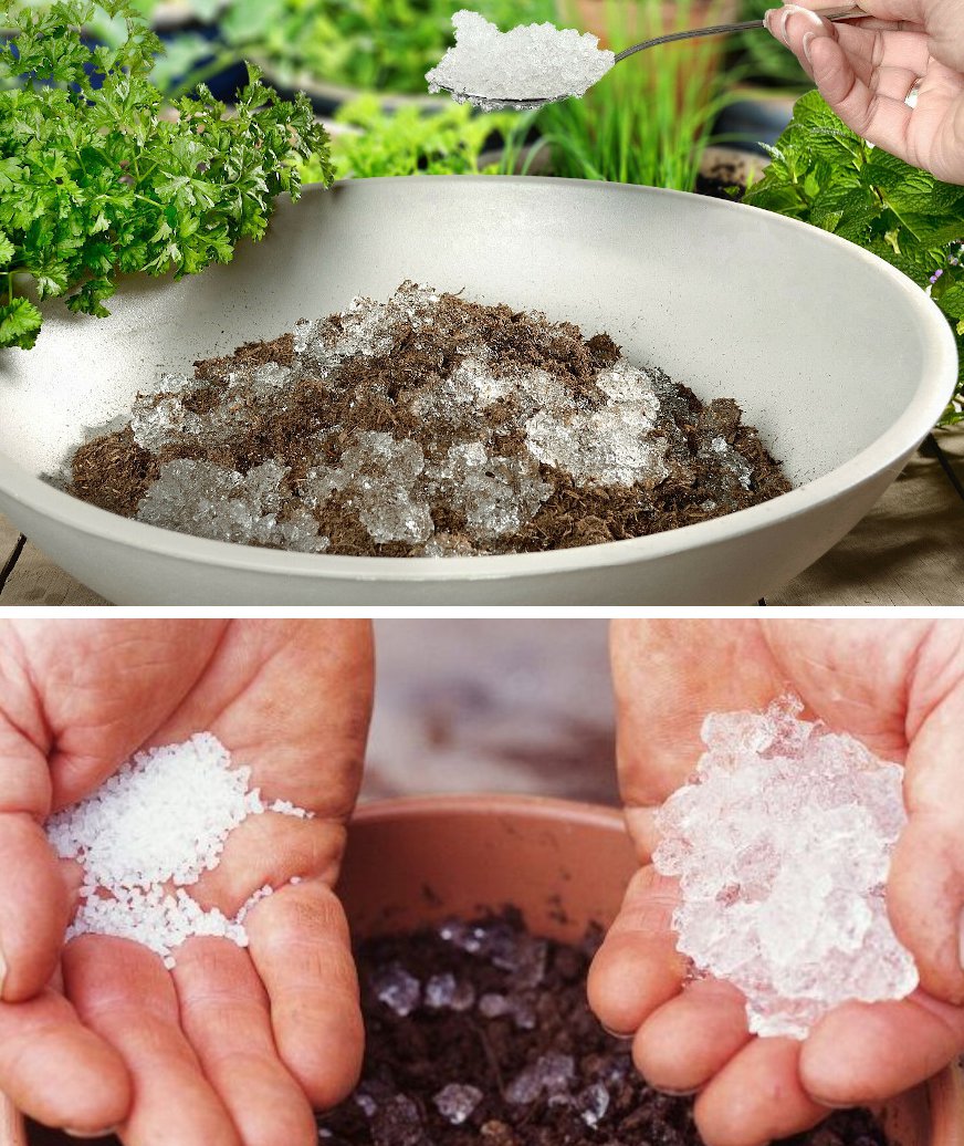 1 Oz Crystal Soil Polymer Water Retention Agent for Plants and Seeds