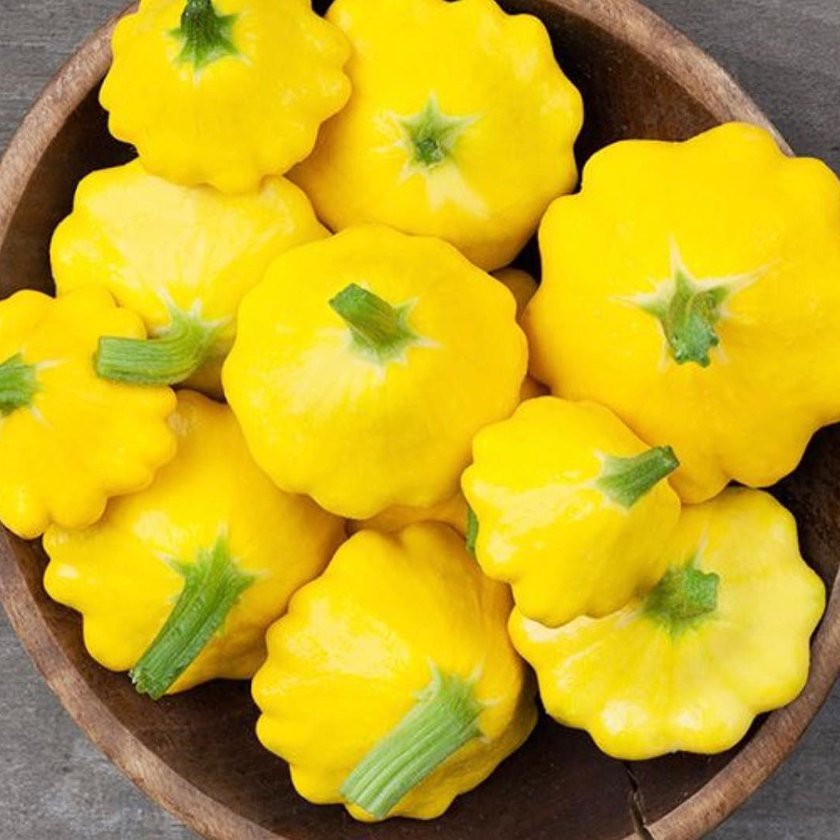 20 Summer Squash Patty Pan Scalloped Vegetable Seeds