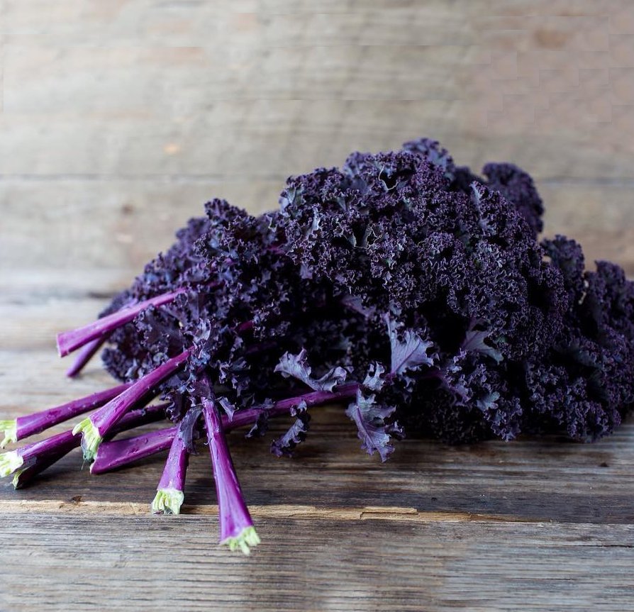 25 Redbor Purple Kale Brassica Seeds