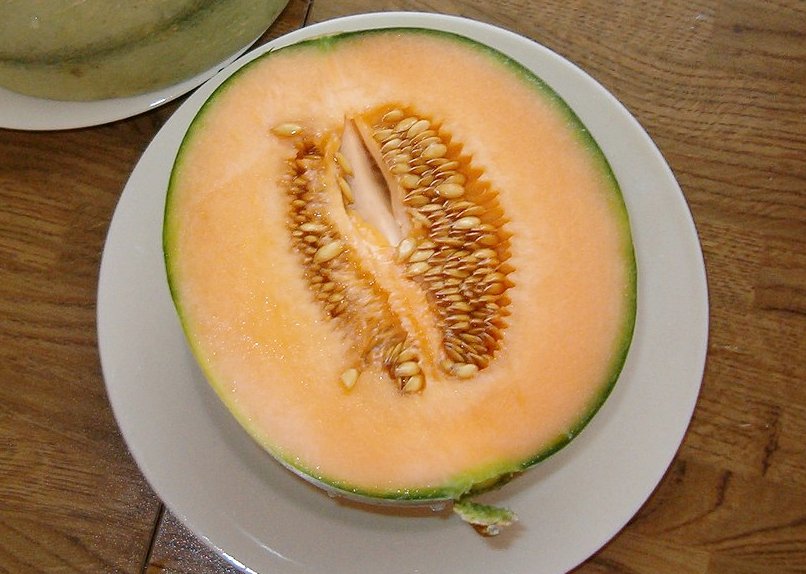 20 French Heirloom True Charentais Melon Cucumis Seeds