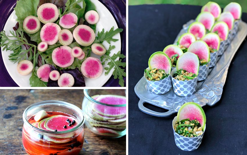 100 Heirloom Shinrimei Watermelon Radish Raphanus Seeds