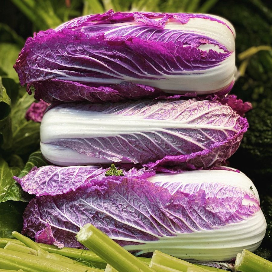 20 Purple Red Napa Cabbage Merlot Brassica Seeds