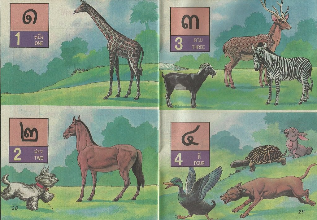 THAI LANGUAGE ALPHABET AND NUMBERS LEARNING BOOK