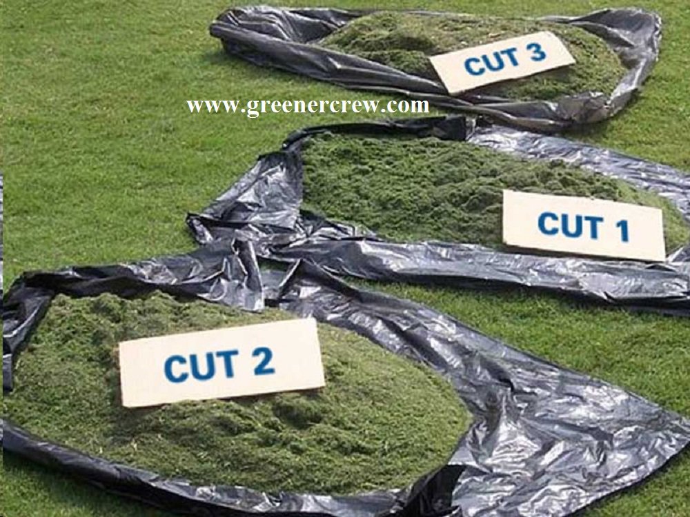 Golf Course Greens Groomer Topdressing Turf Brush