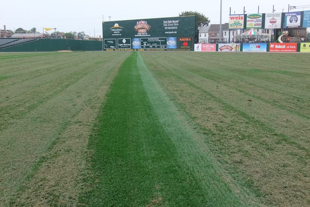 60" Verticutter Thatch Master TM-6000