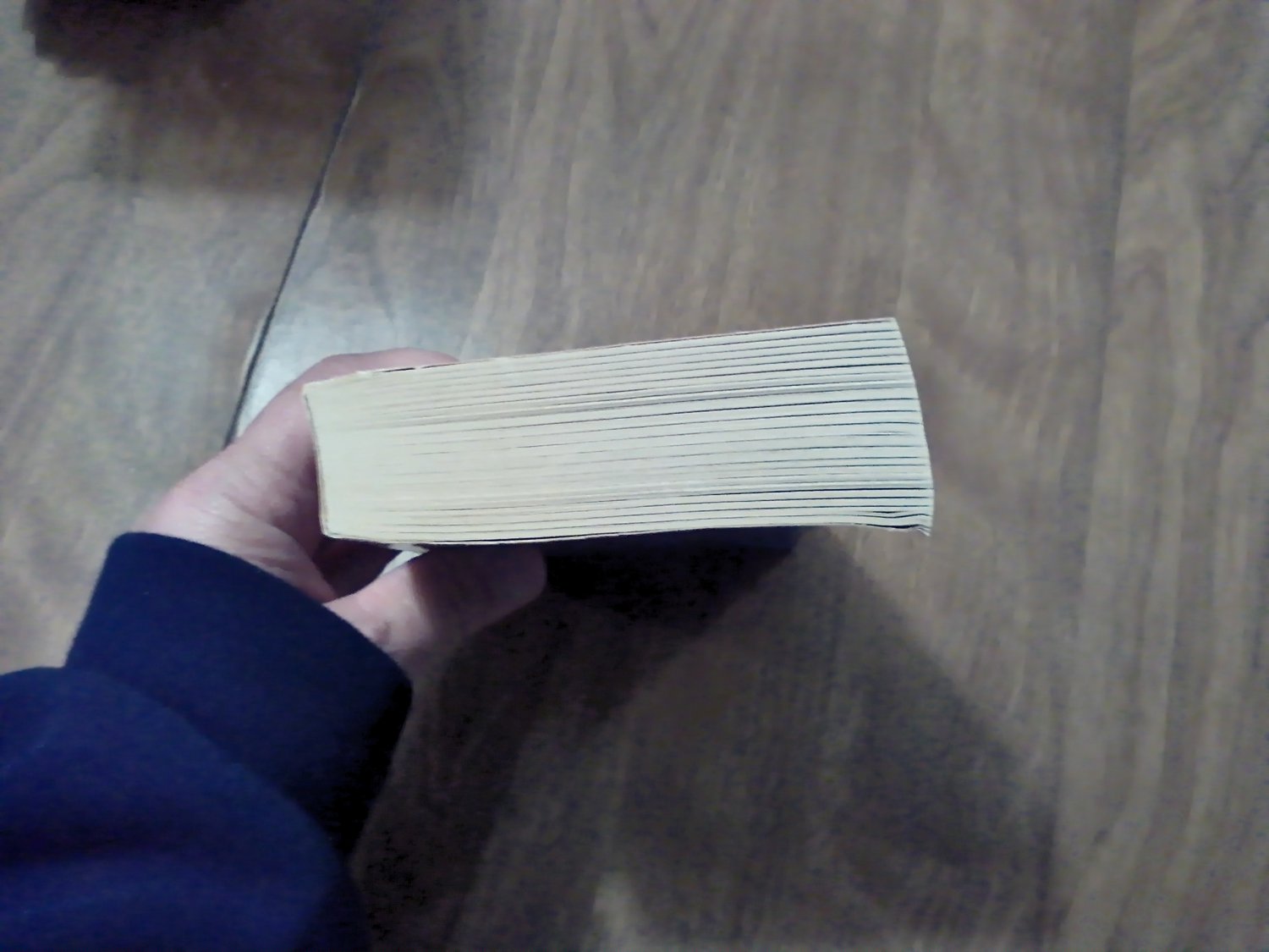 Black Fly Season by Giles Blunt (2006) (R25a5) John Cardinal and Lise ...