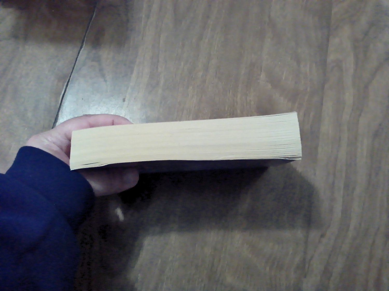 Black Fly Season by Giles Blunt (2006) (R25a5) John Cardinal and Lise ...