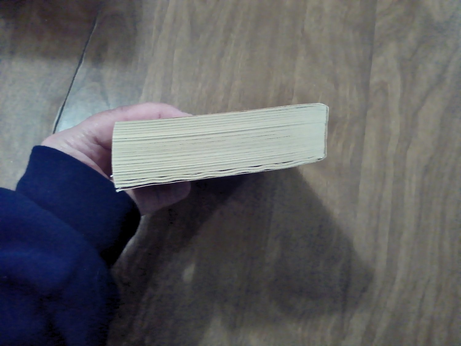 Black Fly Season by Giles Blunt (2006) (R25a5) John Cardinal and Lise ...